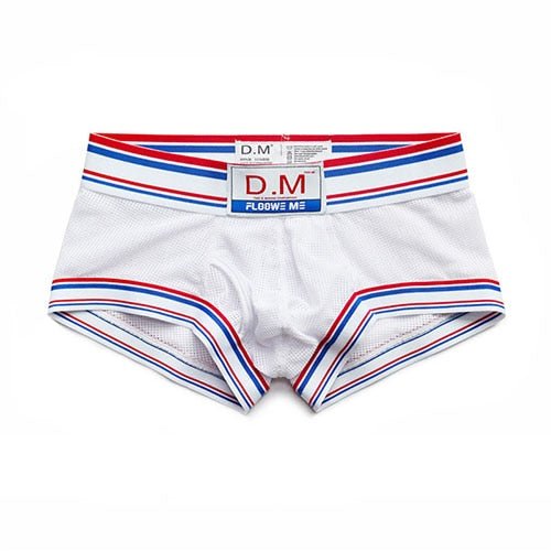 Men’s Sexy Underwear - DM Fighter Mesh Boxer Briefs – Oh My!